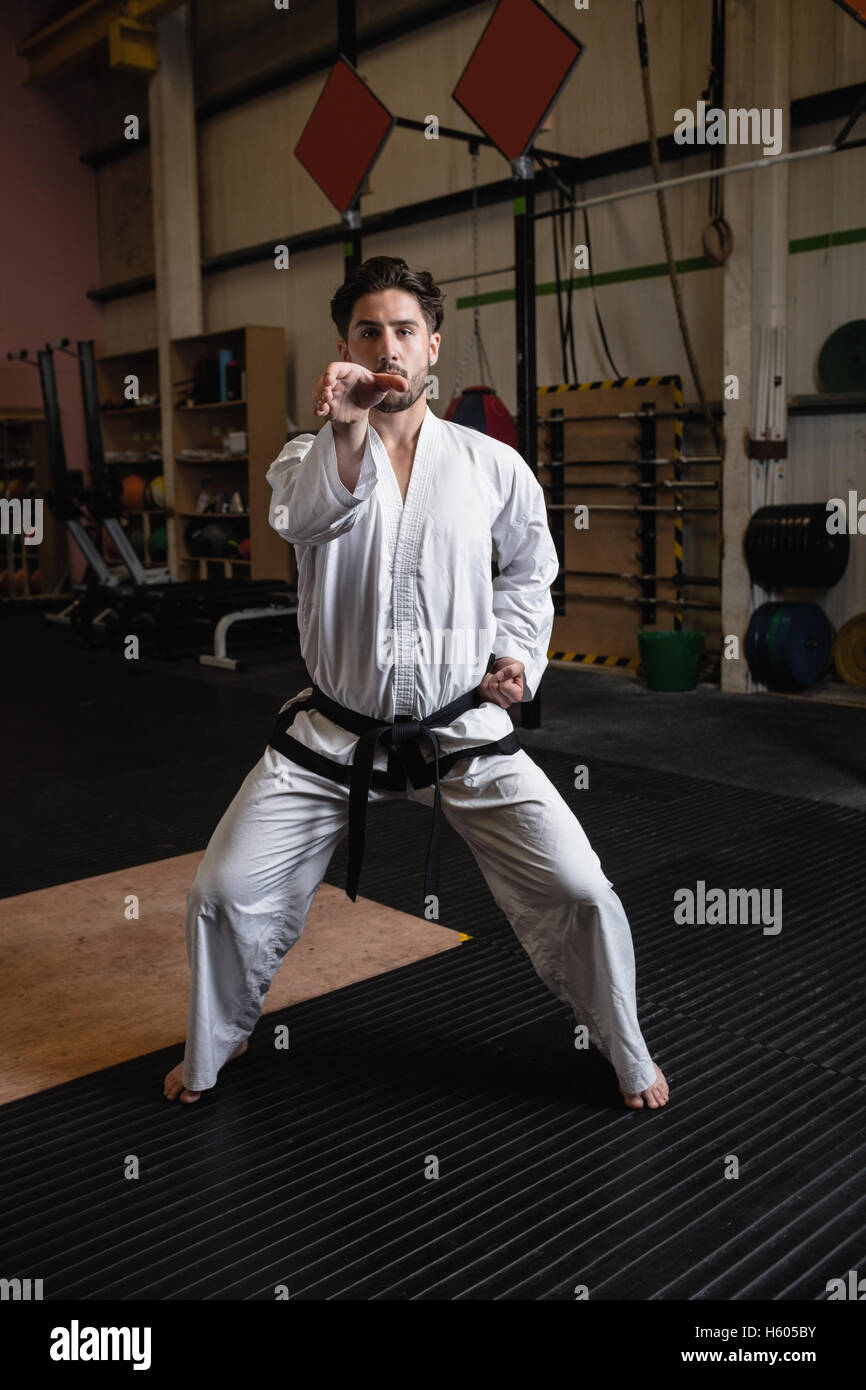 Man practicing karate Stock Photo - Alamy
