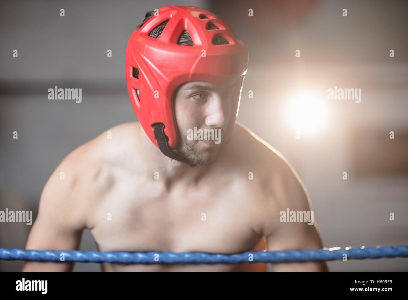 Boxer At Rest Stock Photos & Boxer At Rest Stock Images - Alamy