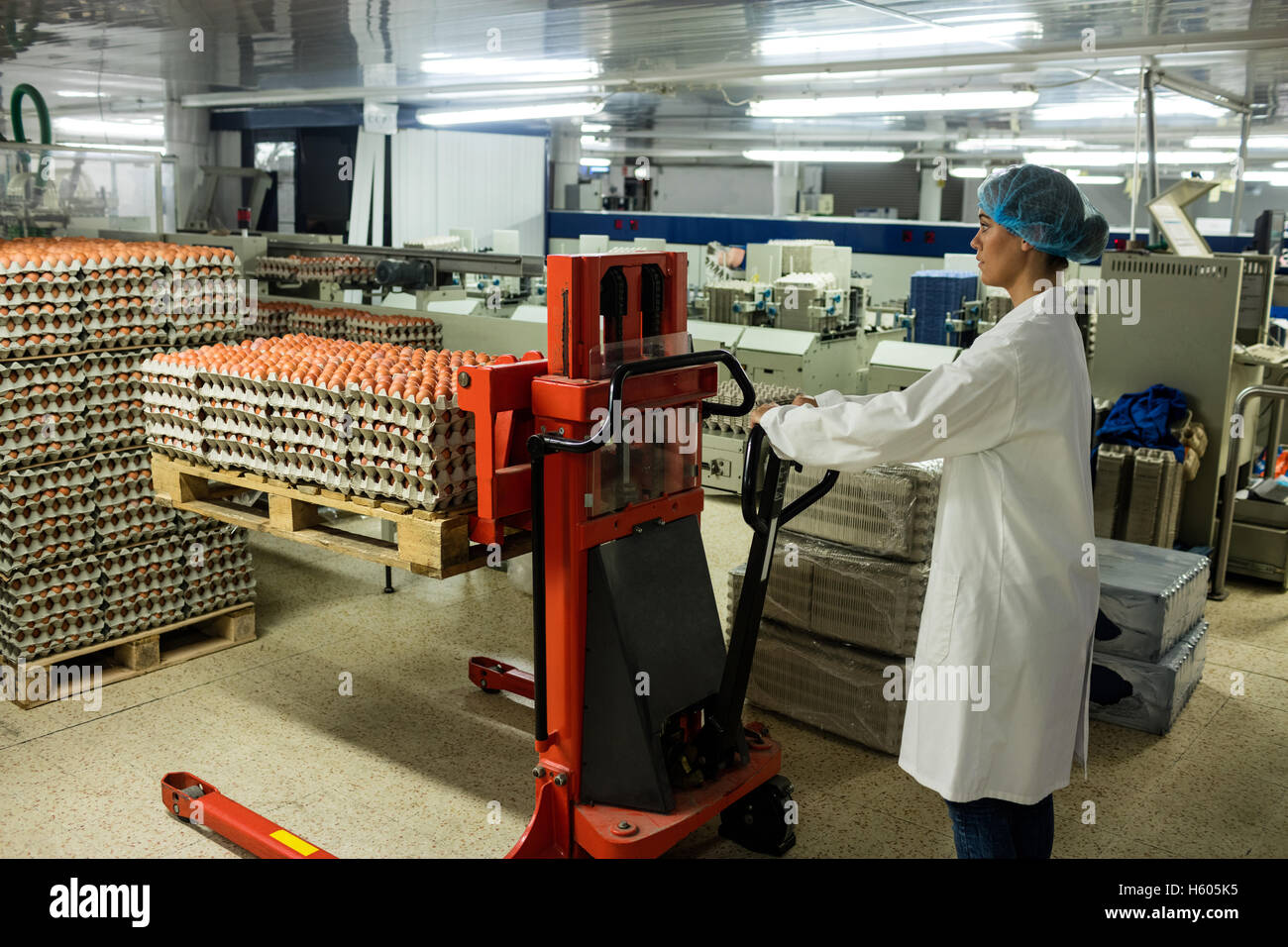 Female staff loading carton of eggs on pallet jack Stock Photo - Alamy