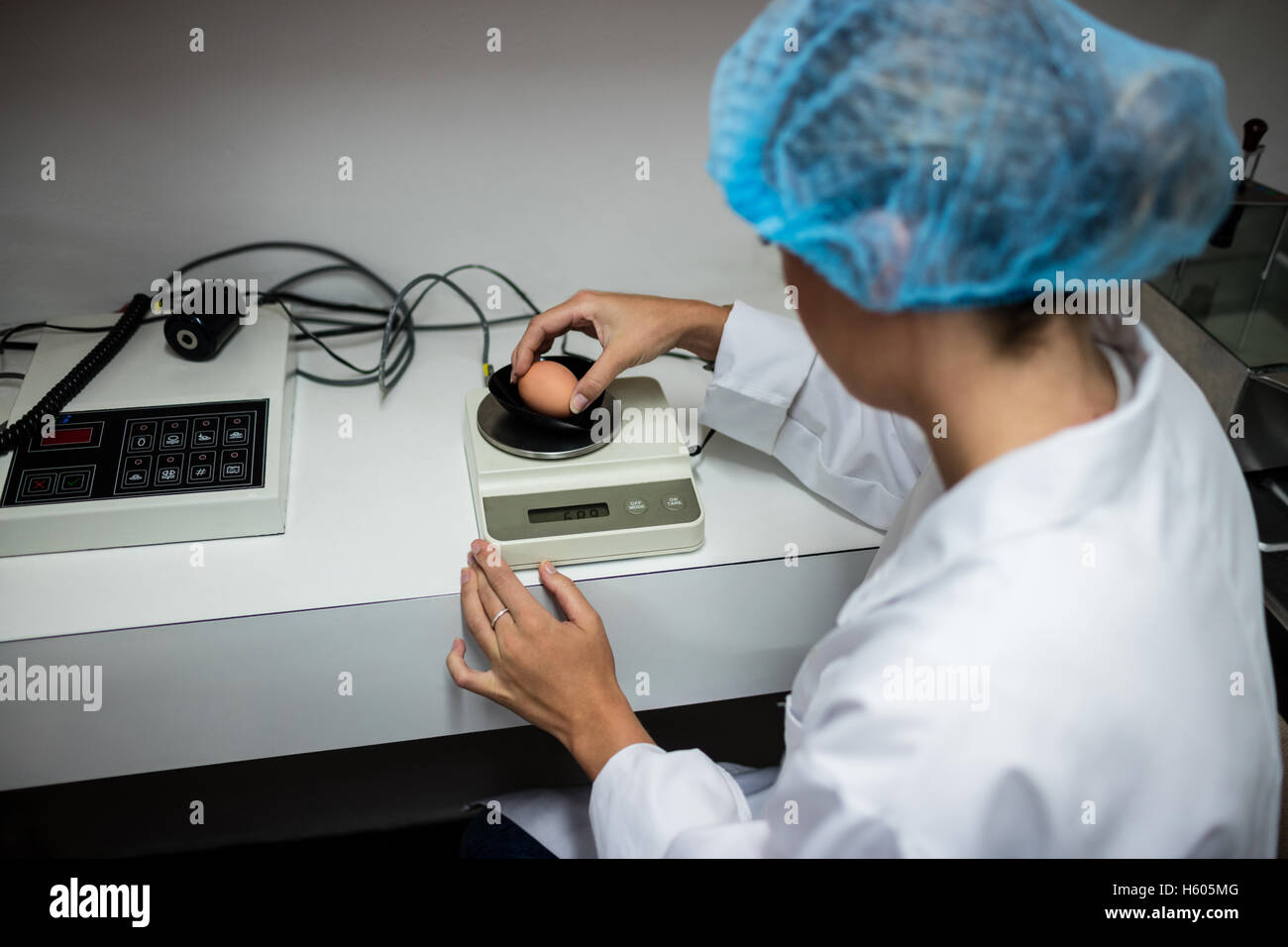 Female staff examine egg on digital egg monitor Stock Photo - Alamy