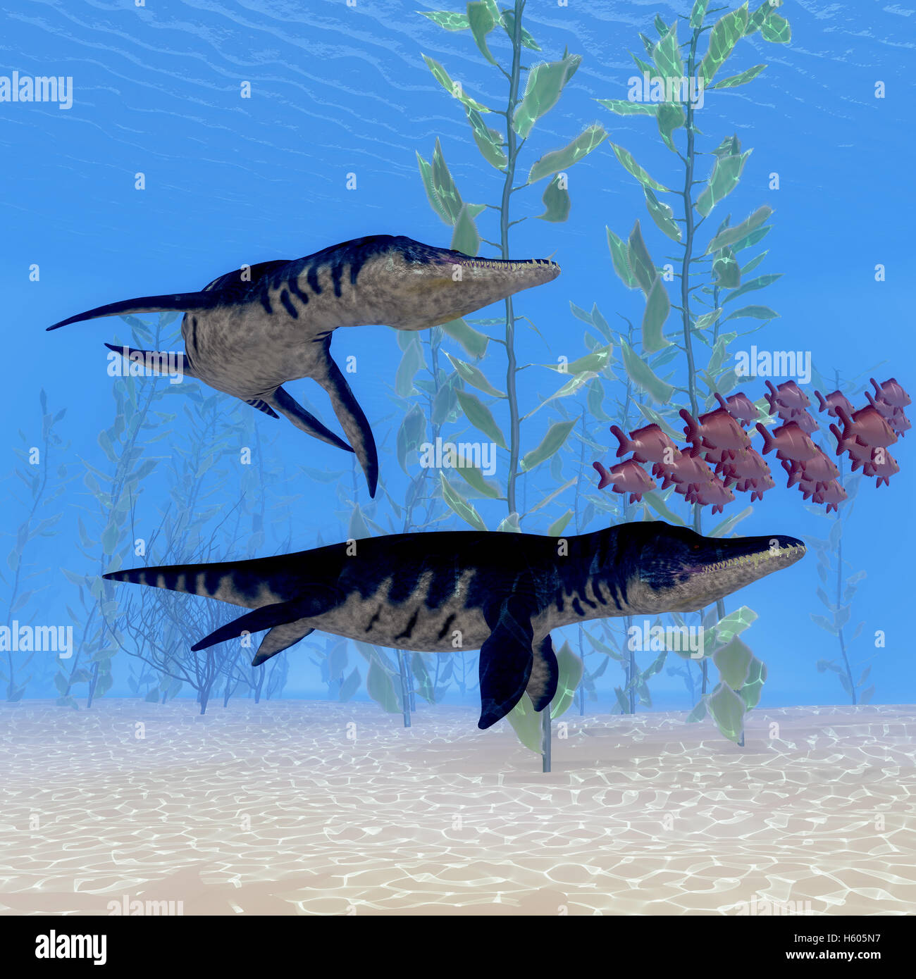 Prehistoric Marine Reptiles