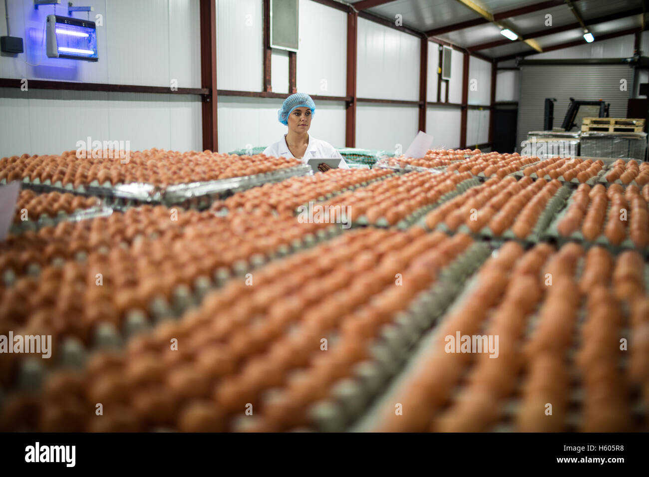 Female staff using digital tablet Stock Photo - Alamy