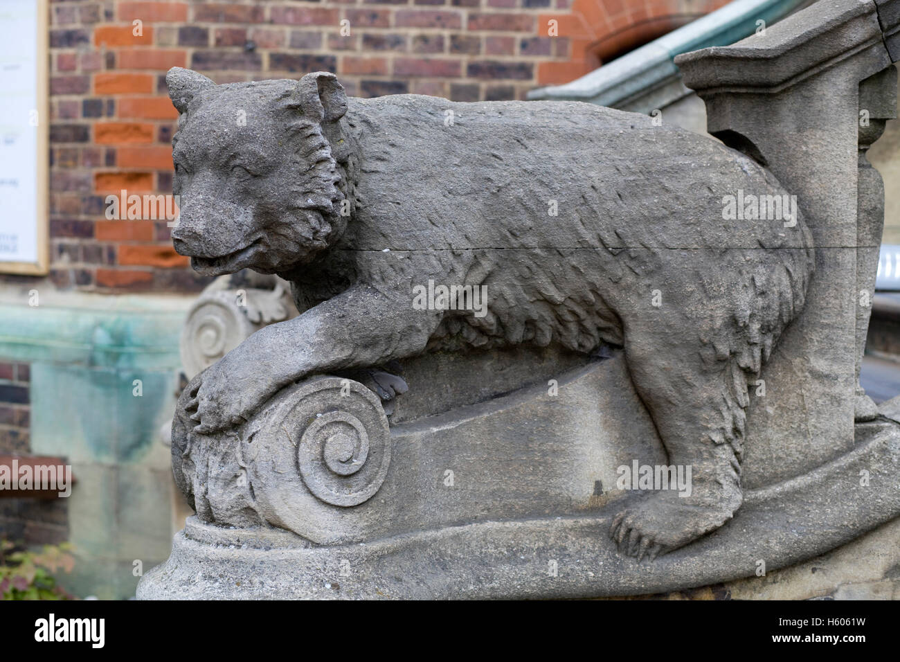 Bear stone wall bears hi-res stock photography and images - Alamy