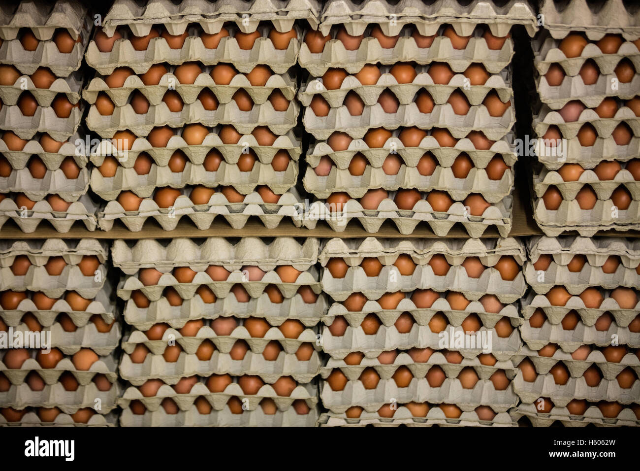 Cartons egg hi-res stock photography and images - Alamy