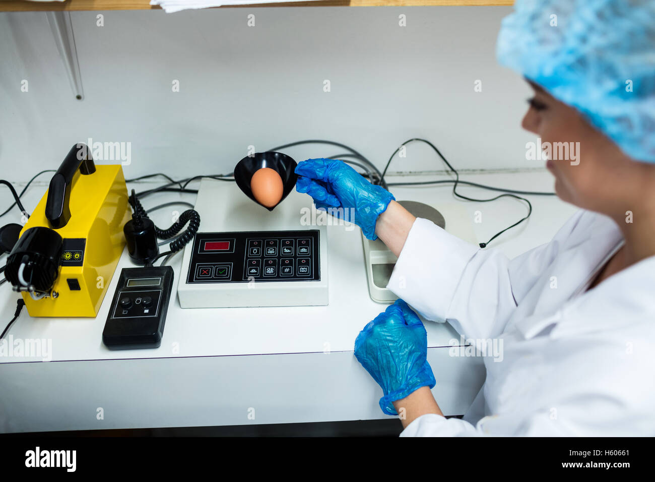 Female staff examine egg on digital egg monitor Stock Photo - Alamy
