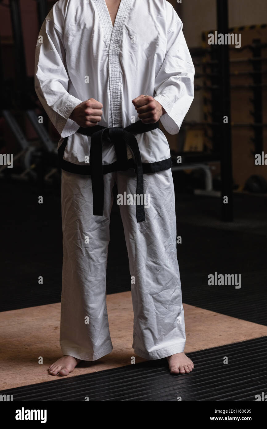 Man practicing karate Stock Photo - Alamy