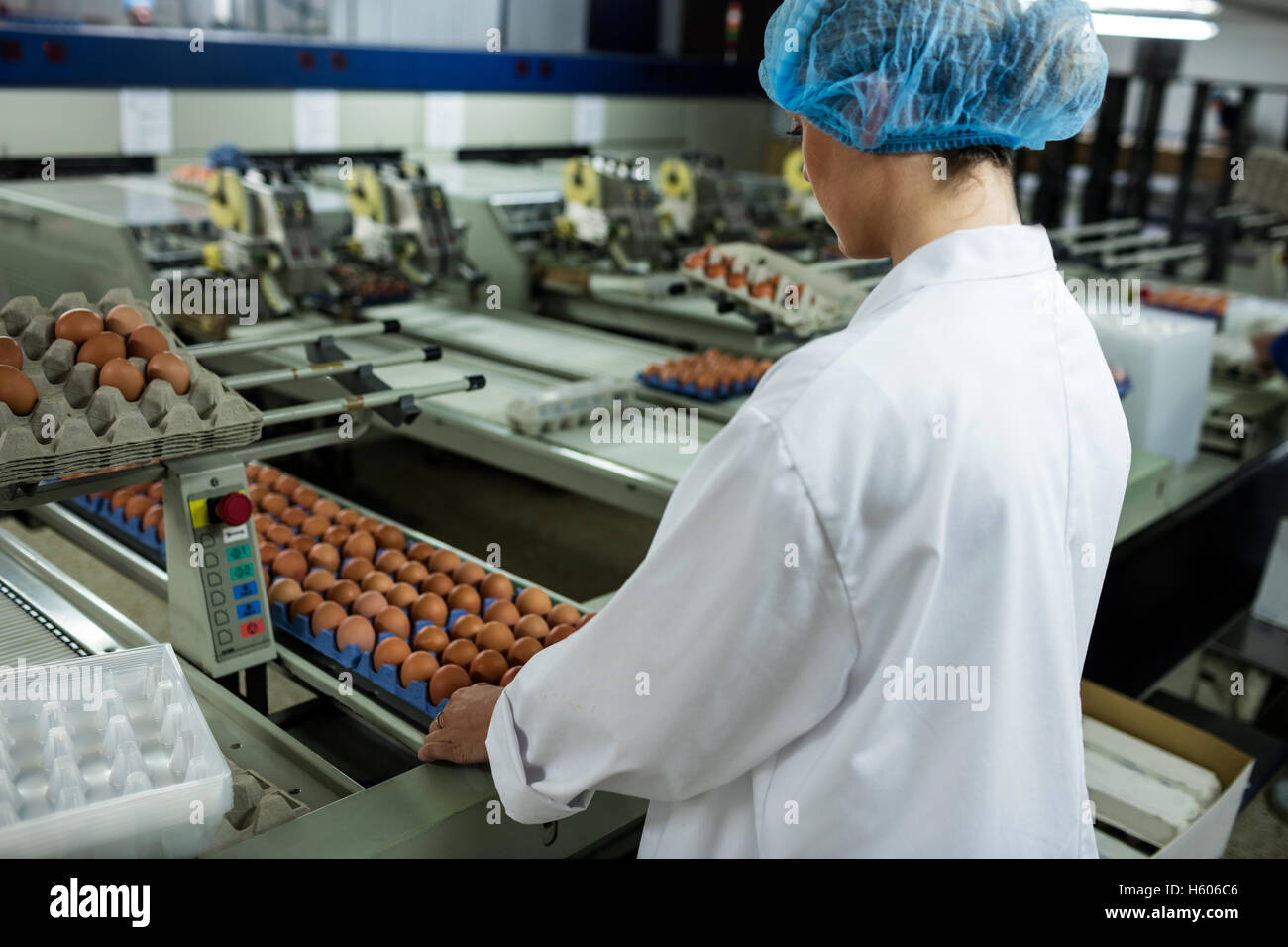 Female staff working in factory Stock Photo - Alamy