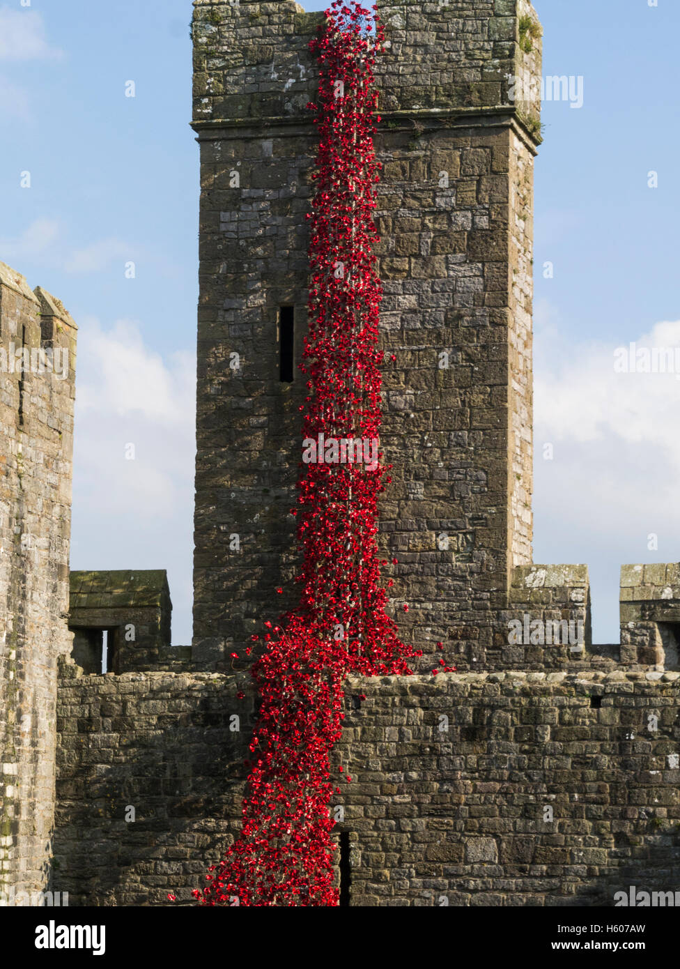 Weeping Window display ceramic poppies on Caernarfon Castle Tower ...