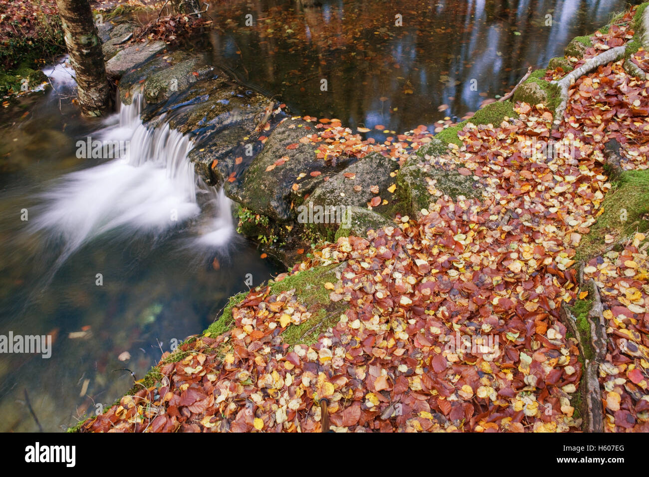 Beautiful waterfall geres national hi-res stock photography and images ...