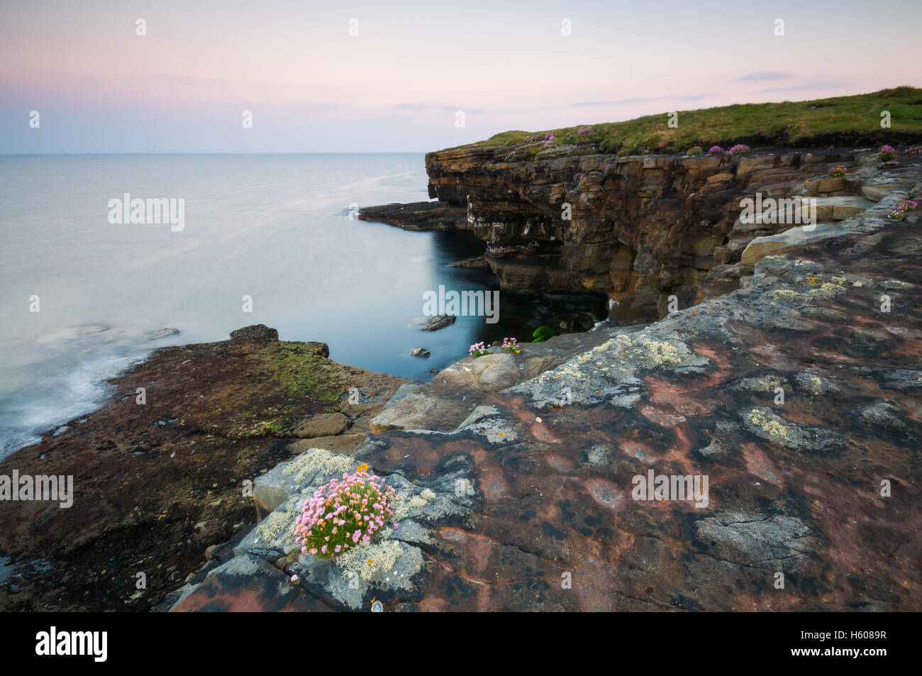 Muckross Head - Co.Donegal, Ireland Stock Photo - Alamy