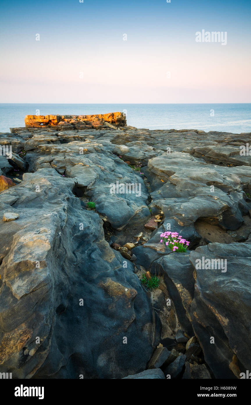 Muckross Head - Co.Donegal, Ireland Stock Photo - Alamy