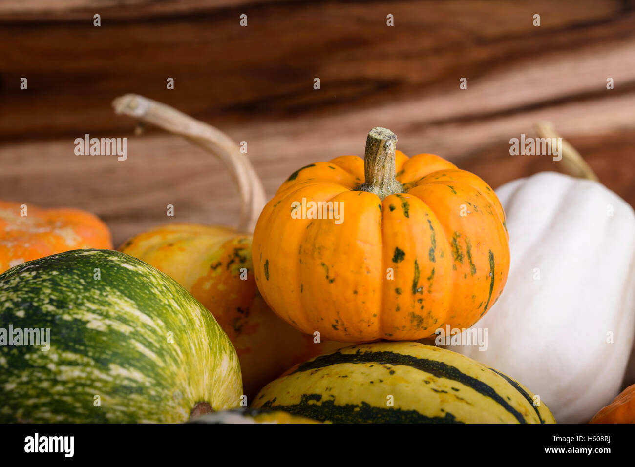 group of small decorative pumpkins on wood Stock Photo - Alamy