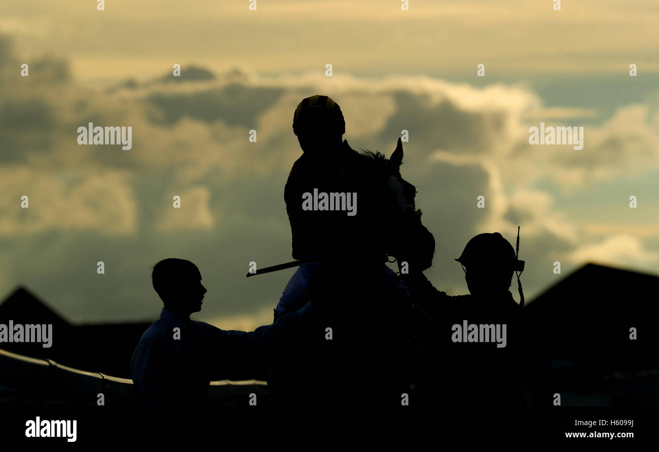 Heron Heights ridden by Philip Enright make their way in after victory ...