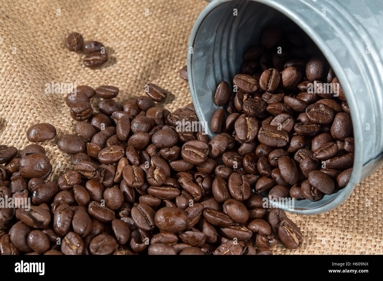 Arabica coffee beans in small tank on sack backgrounds Stock Photo - Alamy