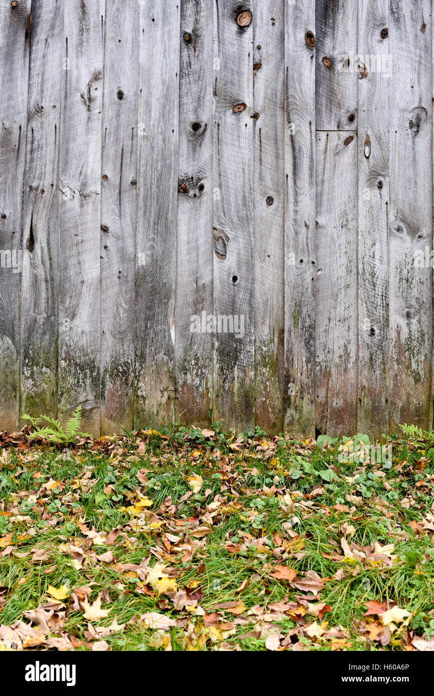 Weathered wood fence in fall Stock Photo - Alamy