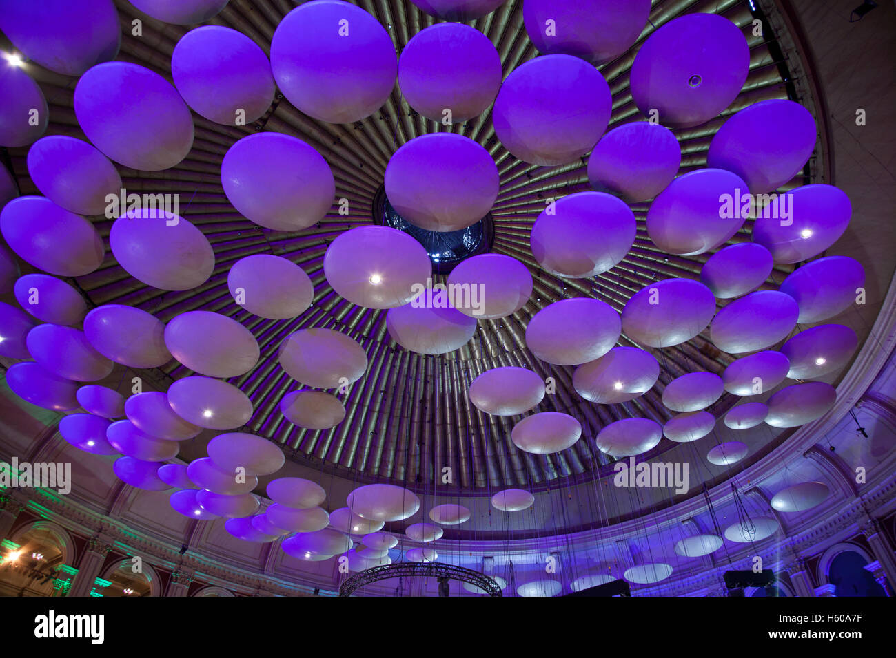 Royal Albert Hall Ceiling High Resolution Stock Photography and Images ...
