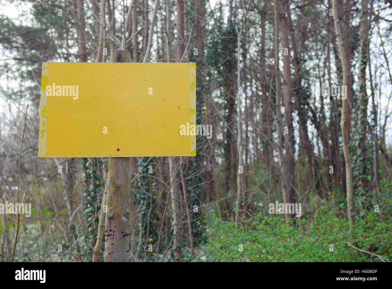 Warning Sign on a forest behind the fence Stock Photo - Alamy