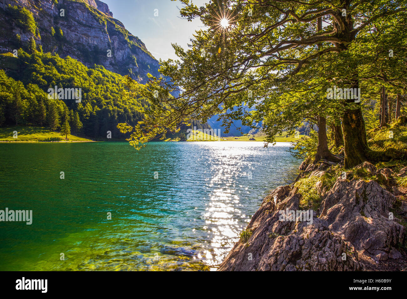 Seealpsee lake with the Swiss Alps (mountain Santis), Appenzeller Land ...