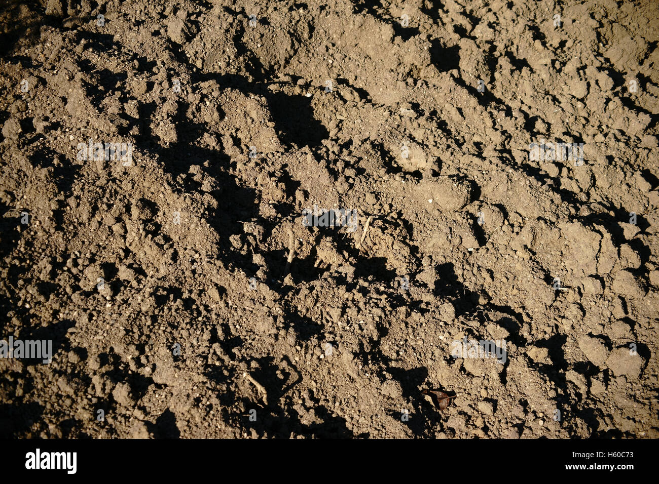 Clayey soil hi-res stock photography and images - Alamy