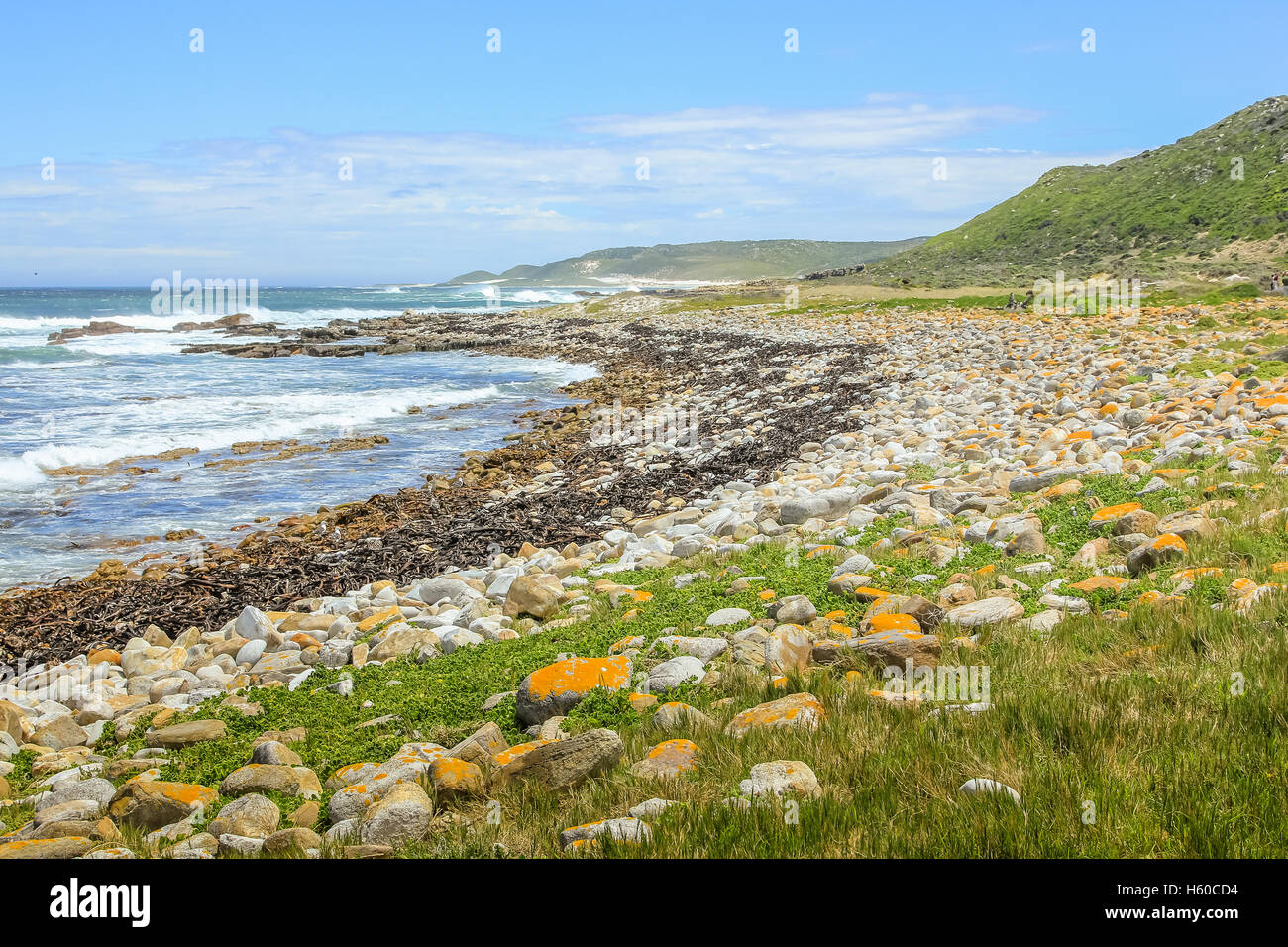 Pebble beach South Africa Stock Photo - Alamy