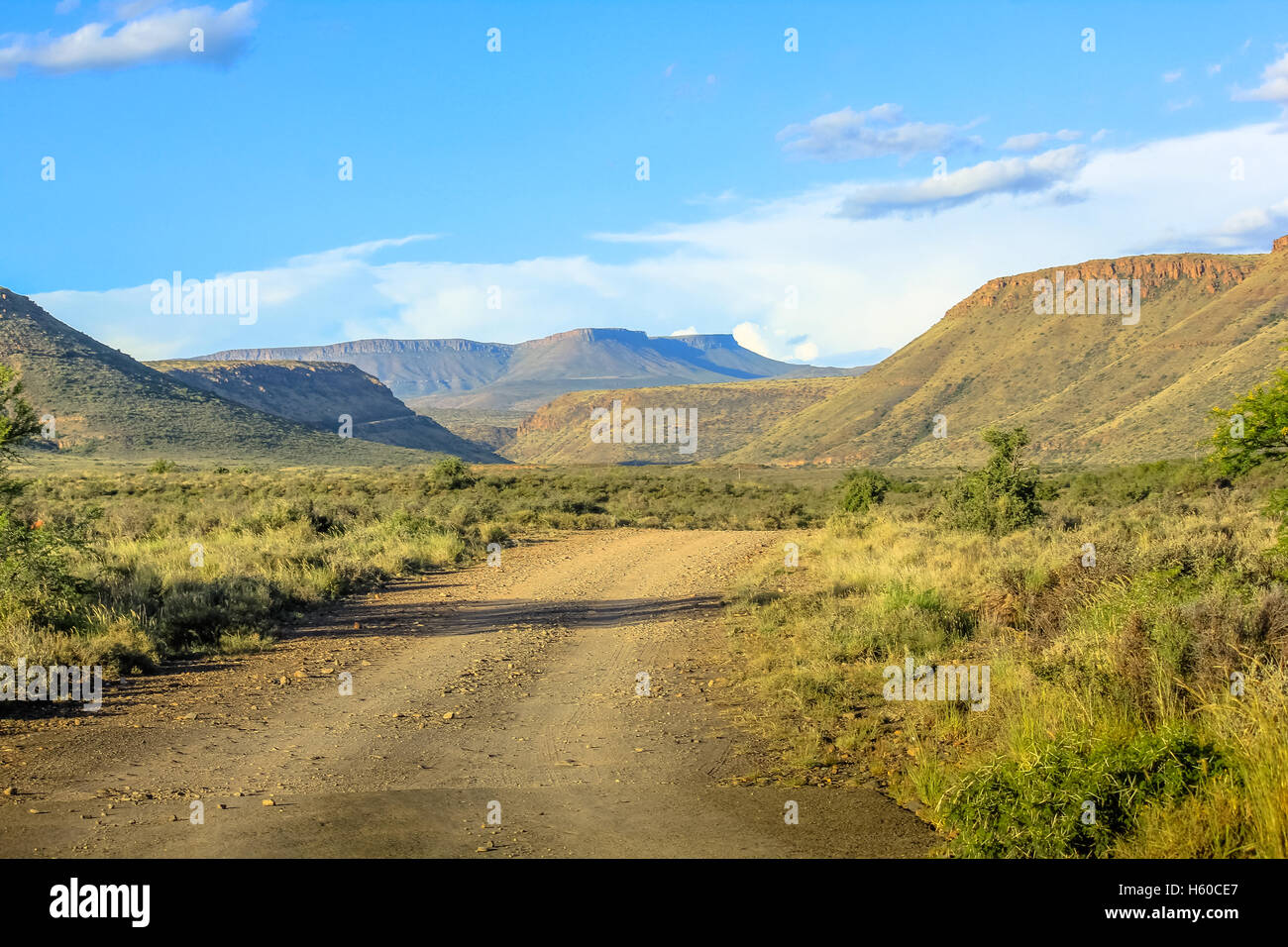 Karoo National Park Stock Photo - Alamy