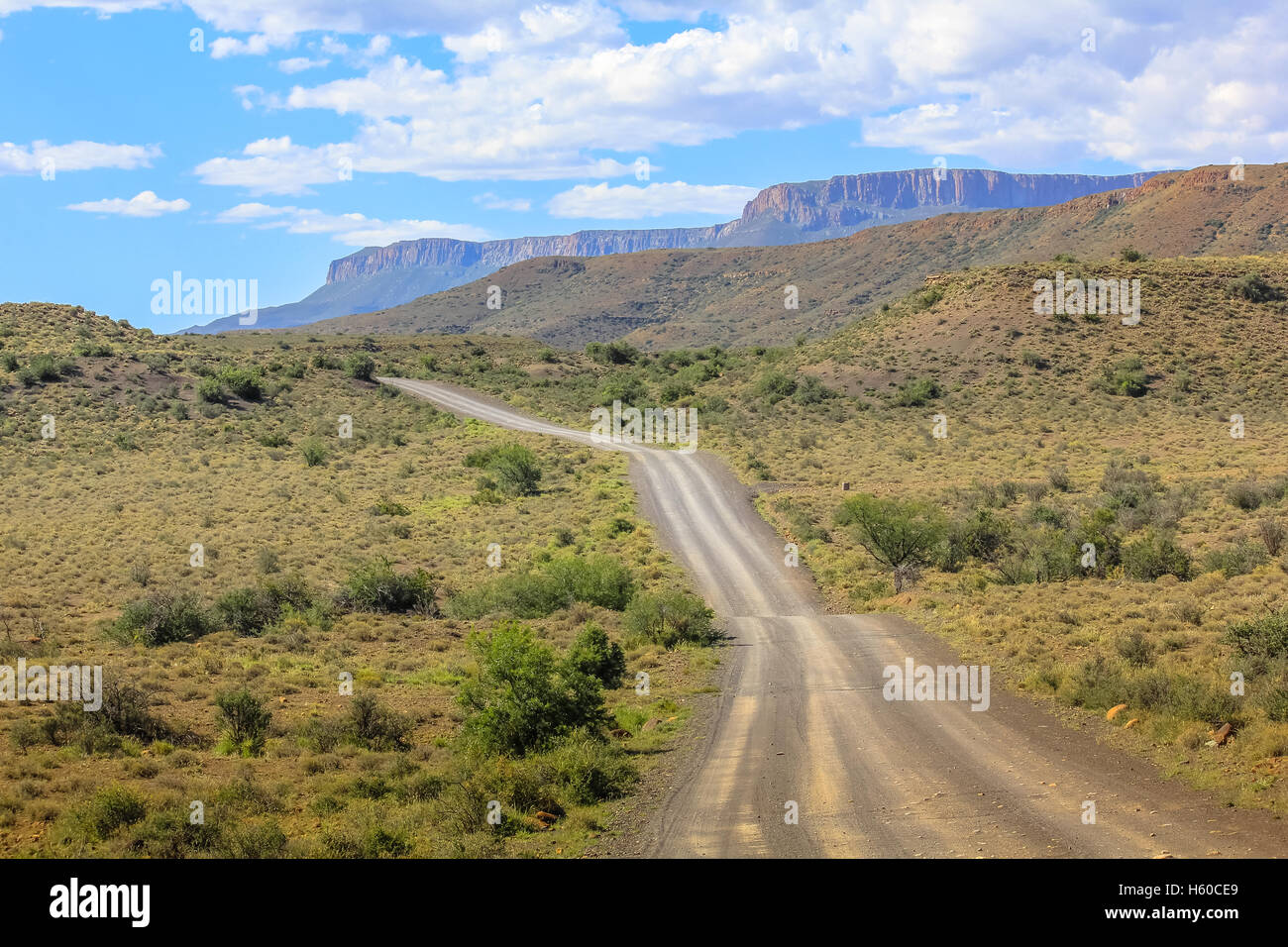Karoo national park hi-res stock photography and images - Alamy