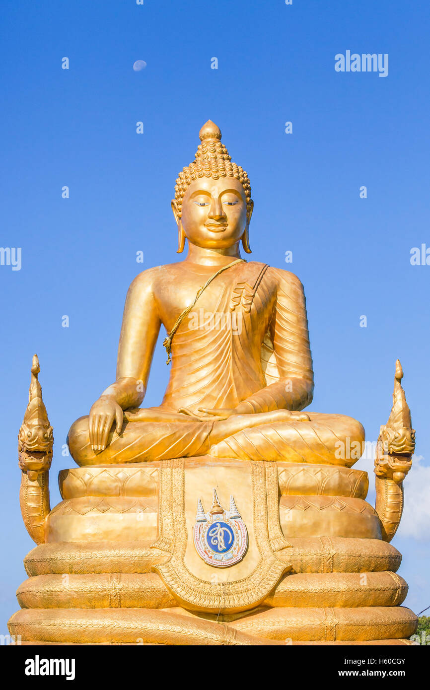 Golden color hi-res stock photography and images - Alamy