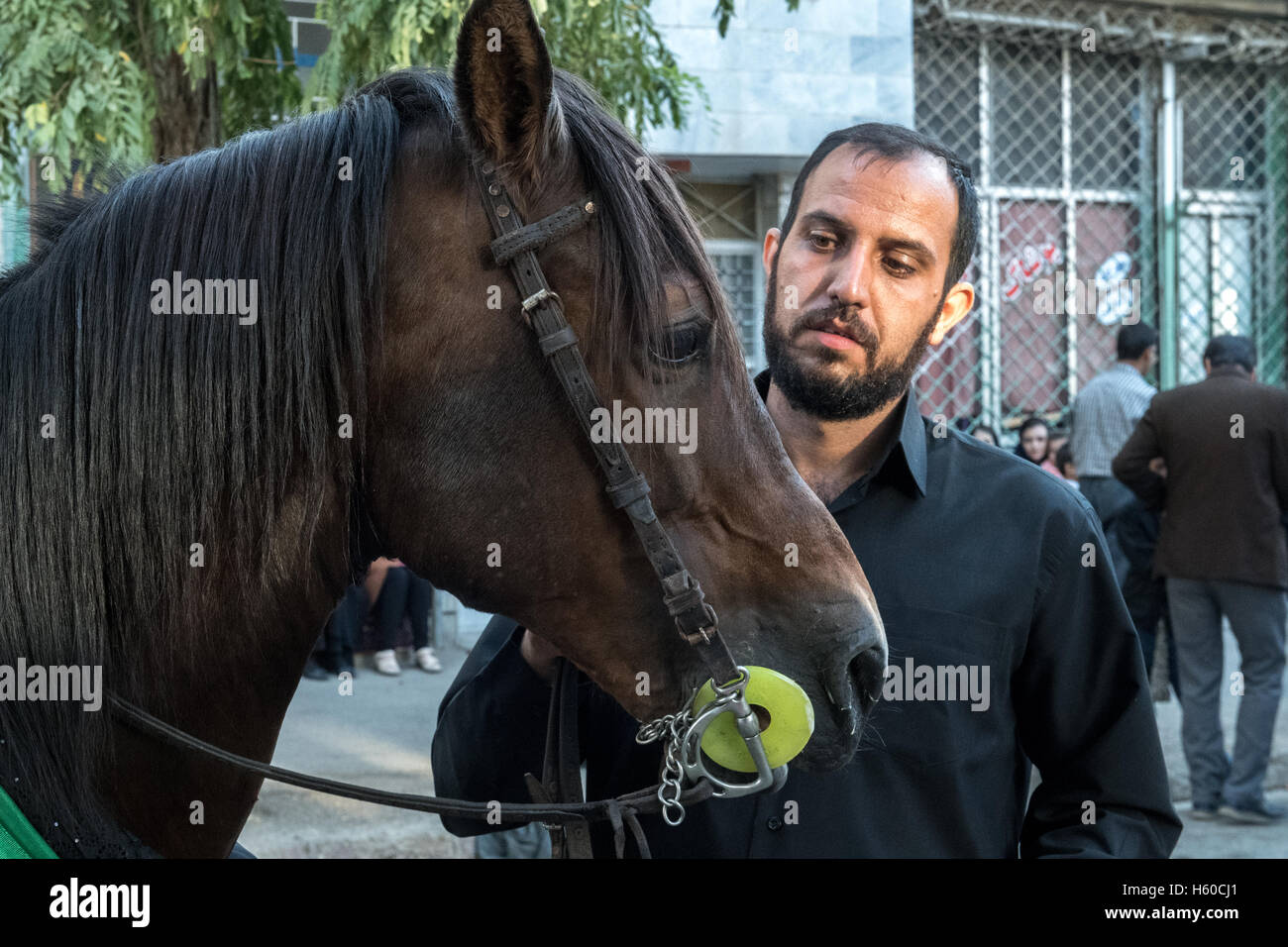 9 Muharram (Tasua), Bijar, Man With Horse Stock Photo - Alamy