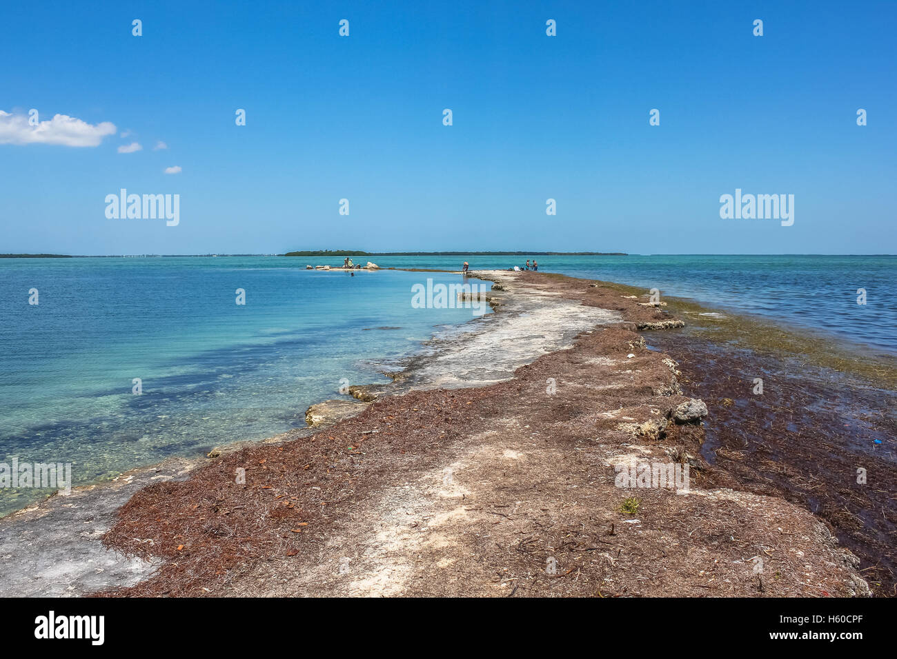 No Name Key Florida Stock Photo Alamy no-name-key-florida-stock-photo-alamy