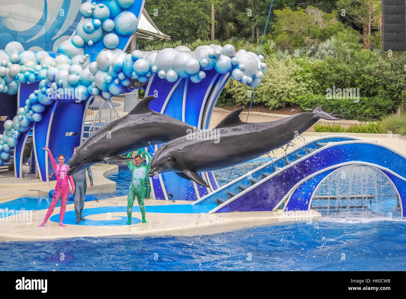 Dolphin trainer sea world hi-res stock photography and images - Alamy