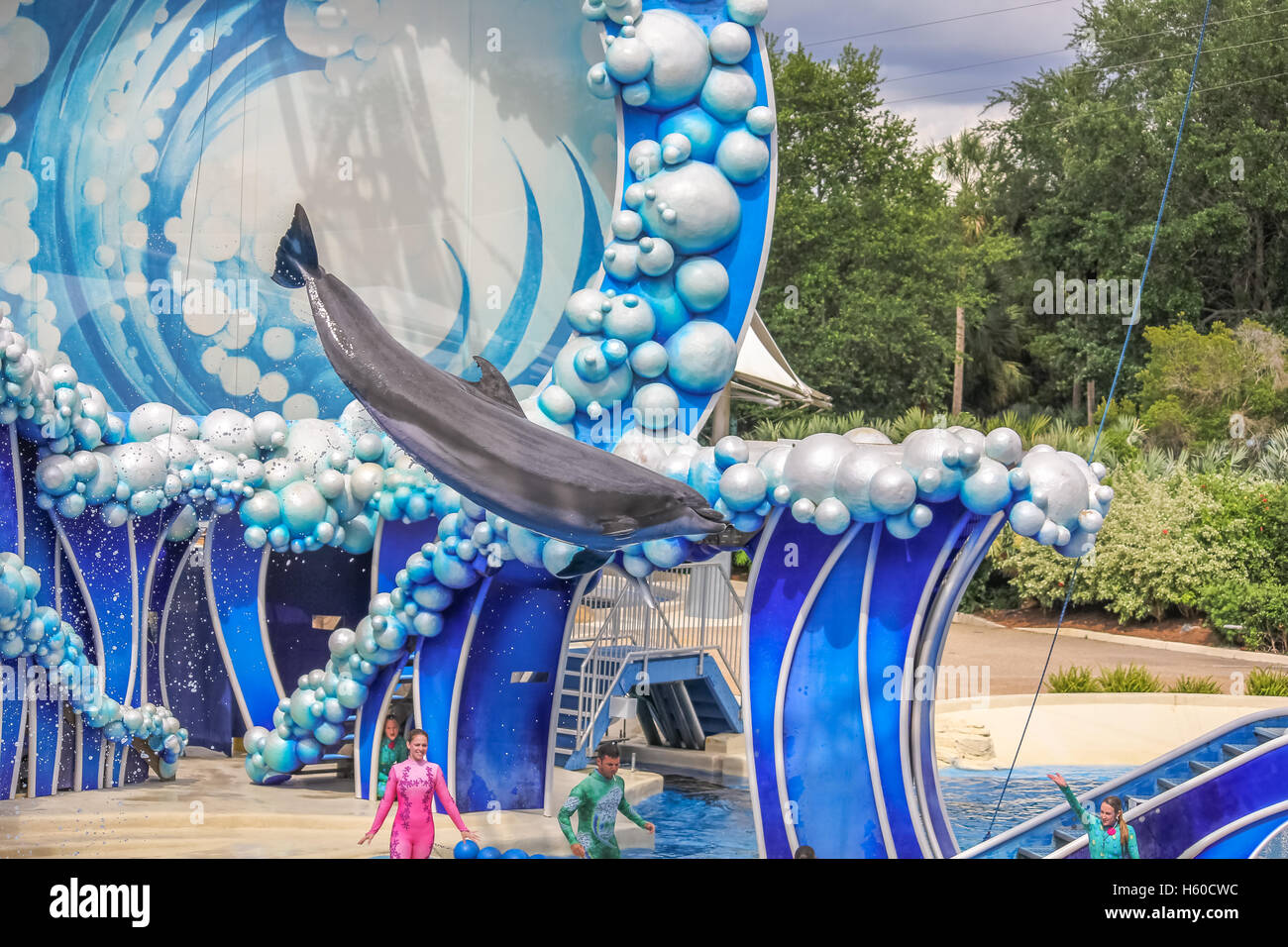 Bottlenose dolphin show Stock Photo - Alamy