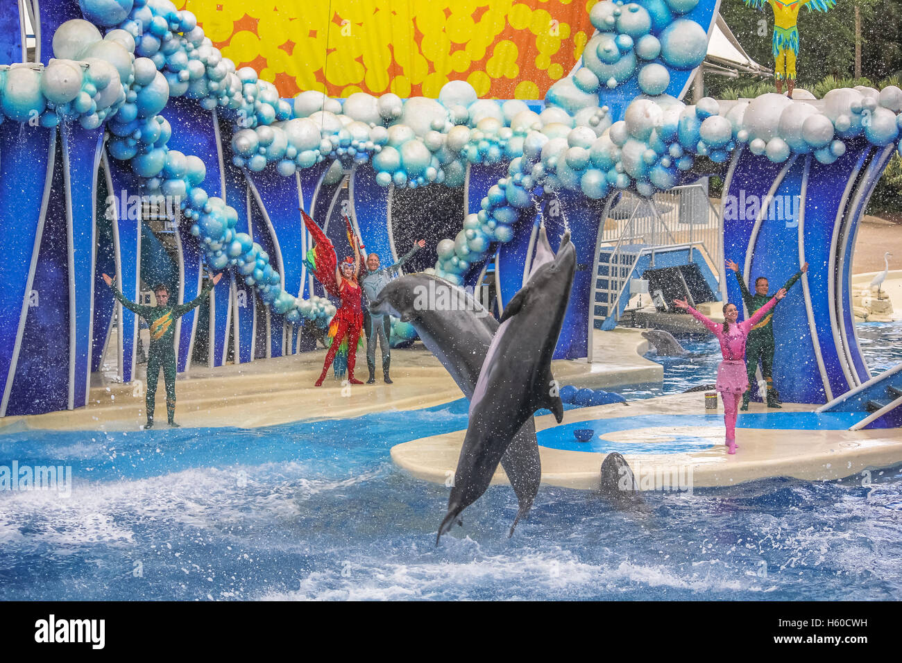 Seaworld orlando dolphin hi-res stock photography and images - Alamy