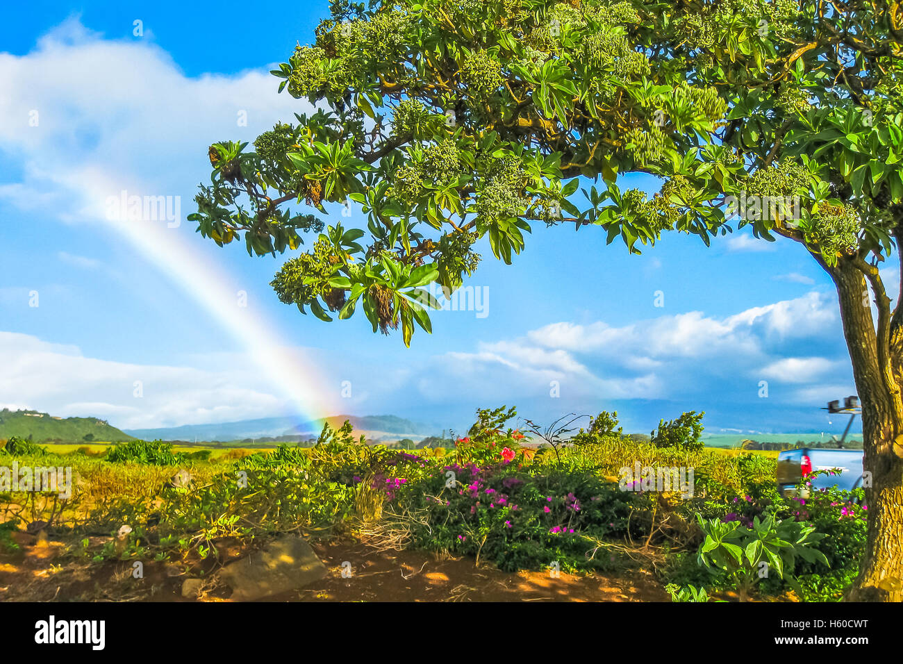 Raimbow hi-res stock photography and images - Alamy