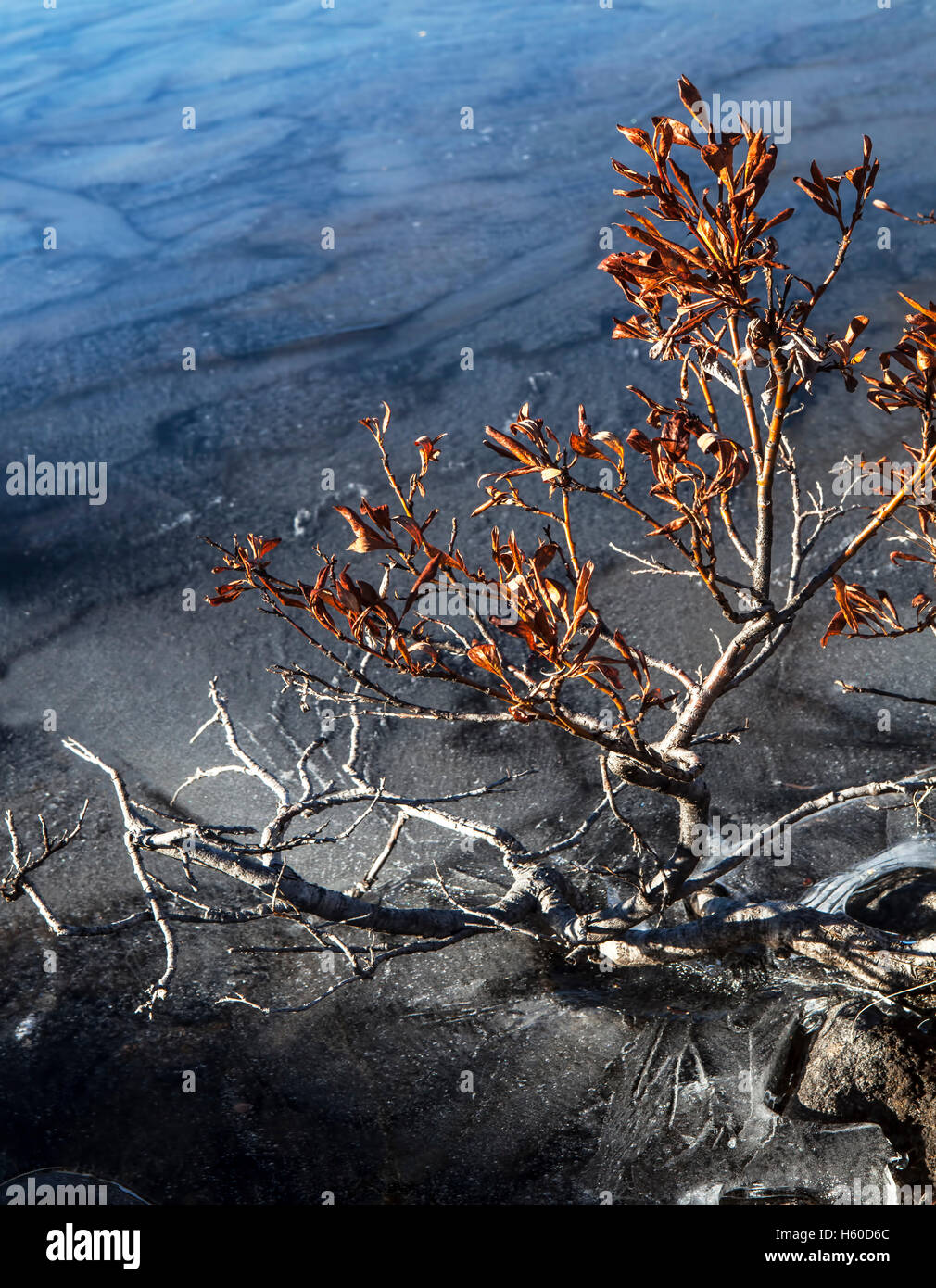 The first cold hi-res stock photography and images - Alamy