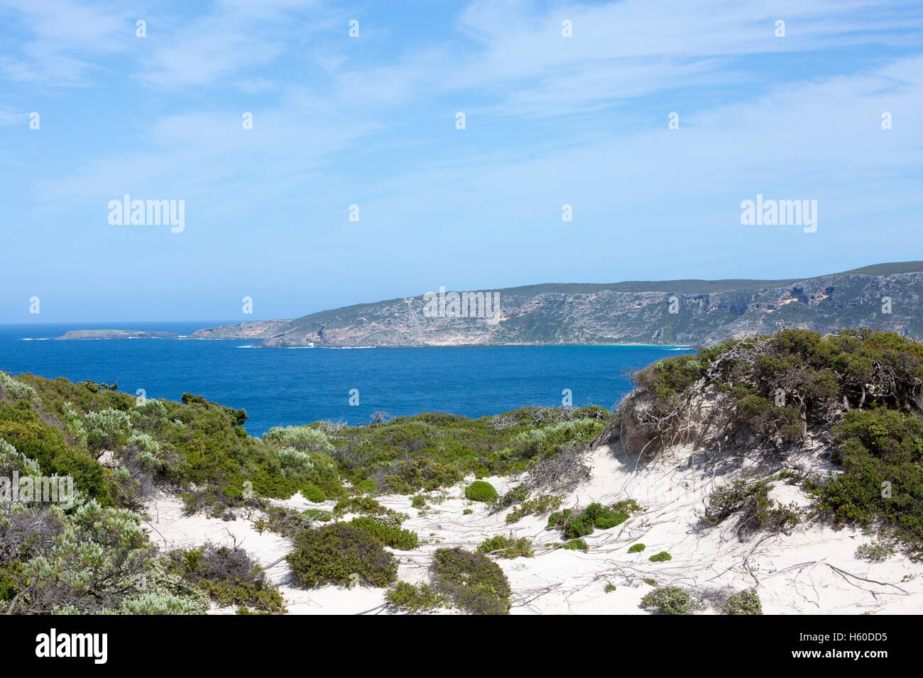 Flinders chase national park coastline viewed from the Remarkable Rocks ...