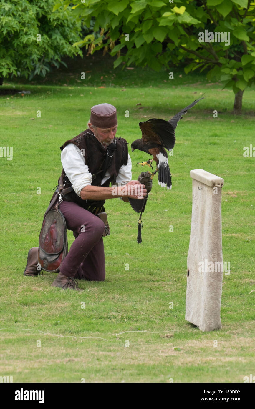 Falconry demonstration at Berkeley Castle in Gloucestershire,England ...
