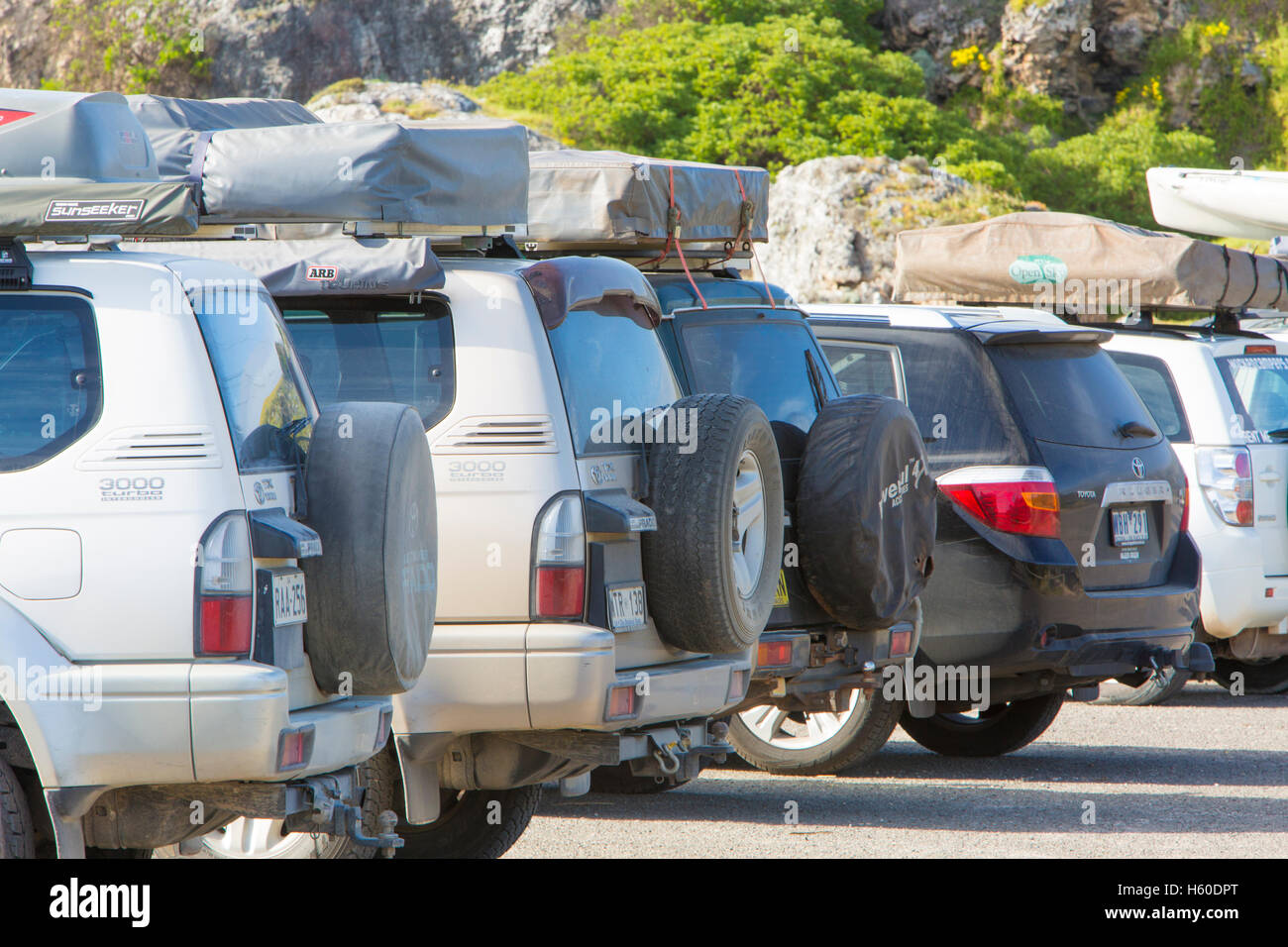 row of toyota 4x4 off road vehicles on kangaroo island,south australia ...