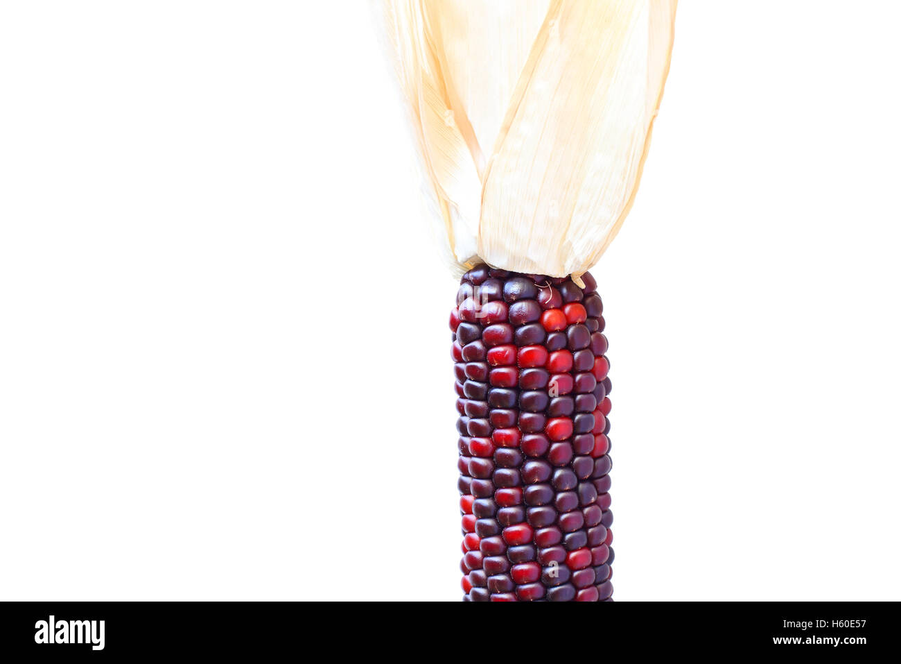 Heirloom Corn High Resolution Stock Photography and Images - Alamy