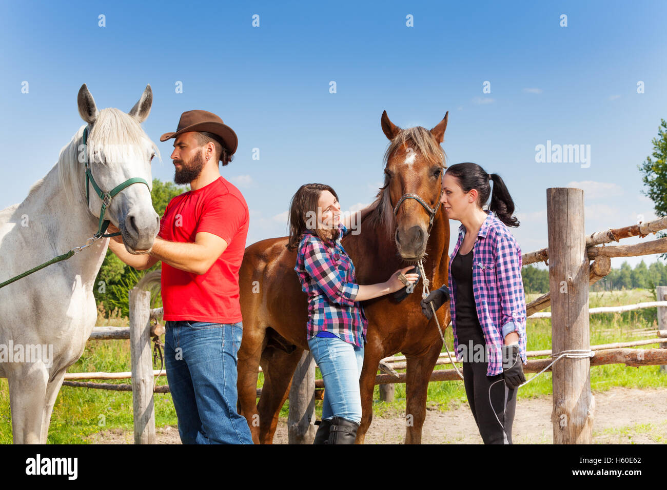 Horseback riders having rest with their horses Stock Photo - Alamy
