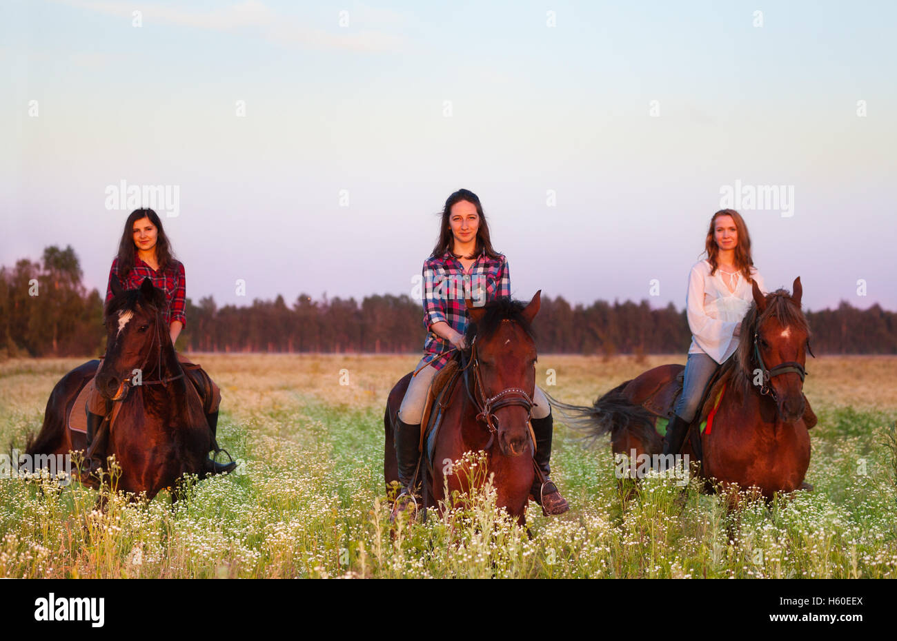 Three beautiful female equestrians in the field Stock Photo - Alamy