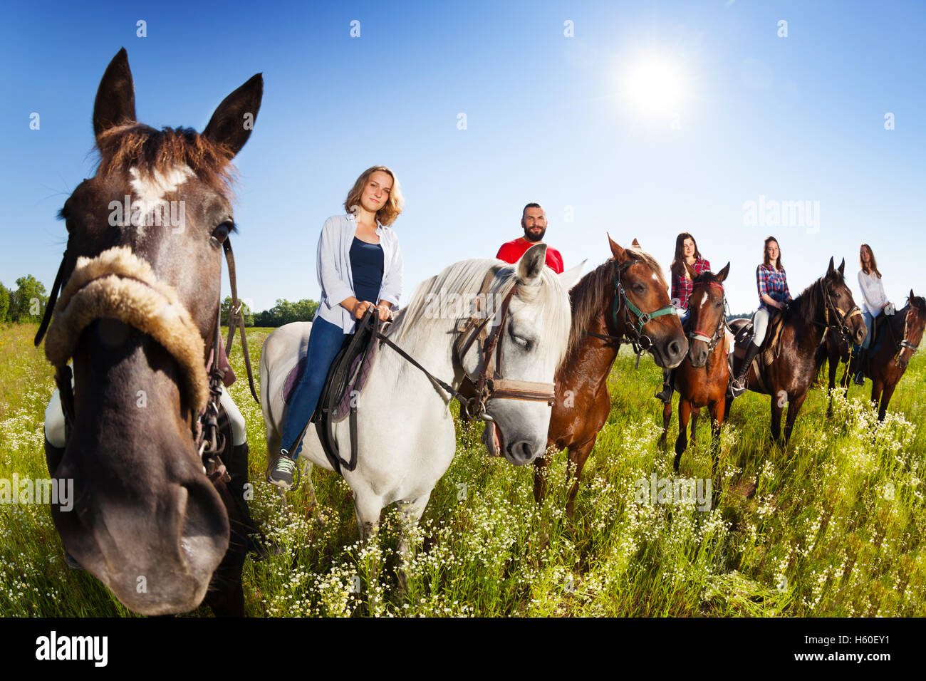 Group of equestrians riding their horses in field Stock Photo - Alamy