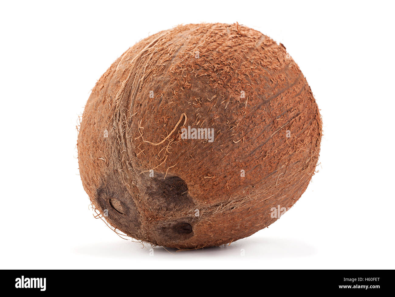 Coconut tropical fruit closeup isolated on white Stock Photo - Alamy