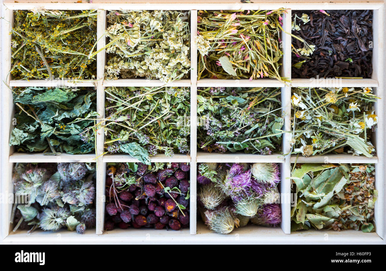 Different dried herbs in a wooden tea box Stock Photo - Alamy