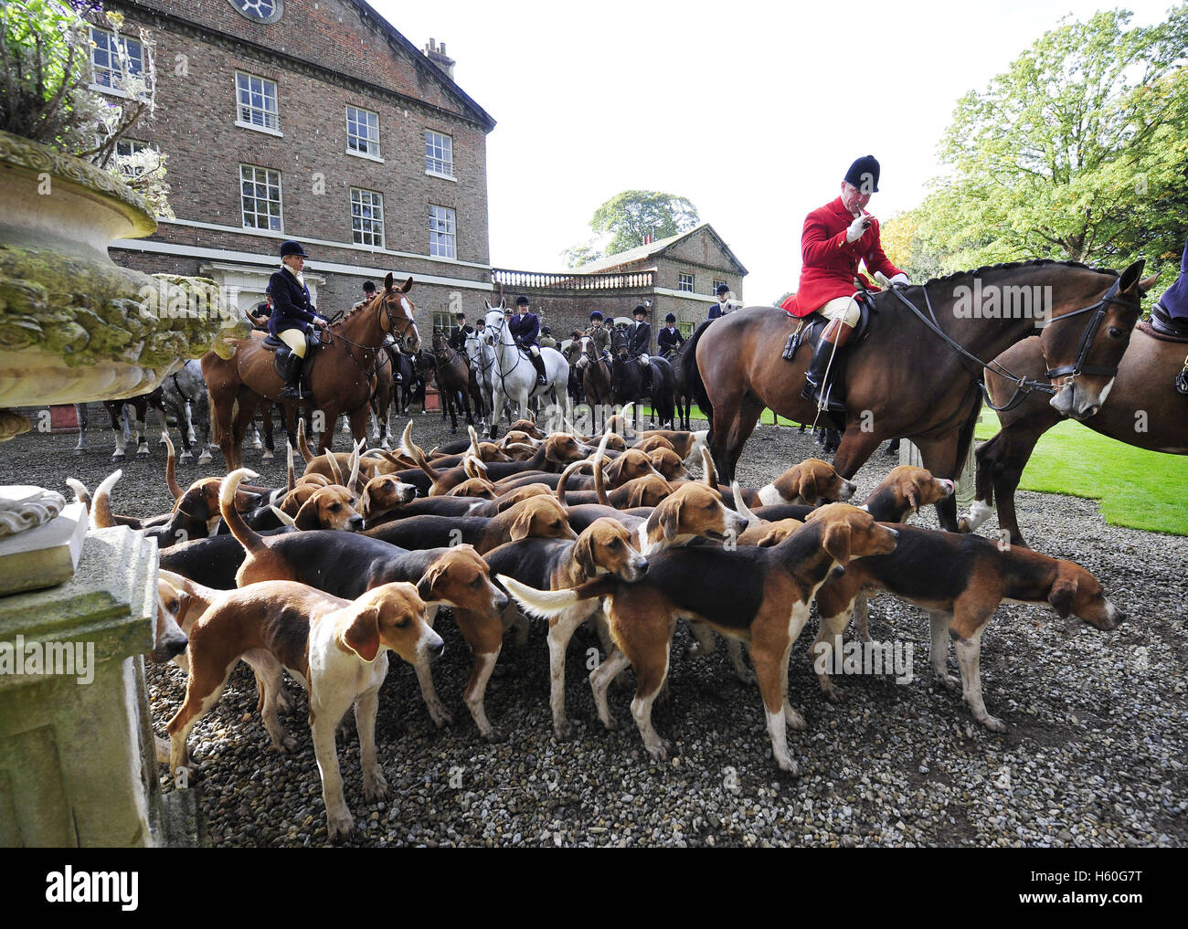 Members of the York and Ainsty Hunt gather at Sutton Hall in North ...