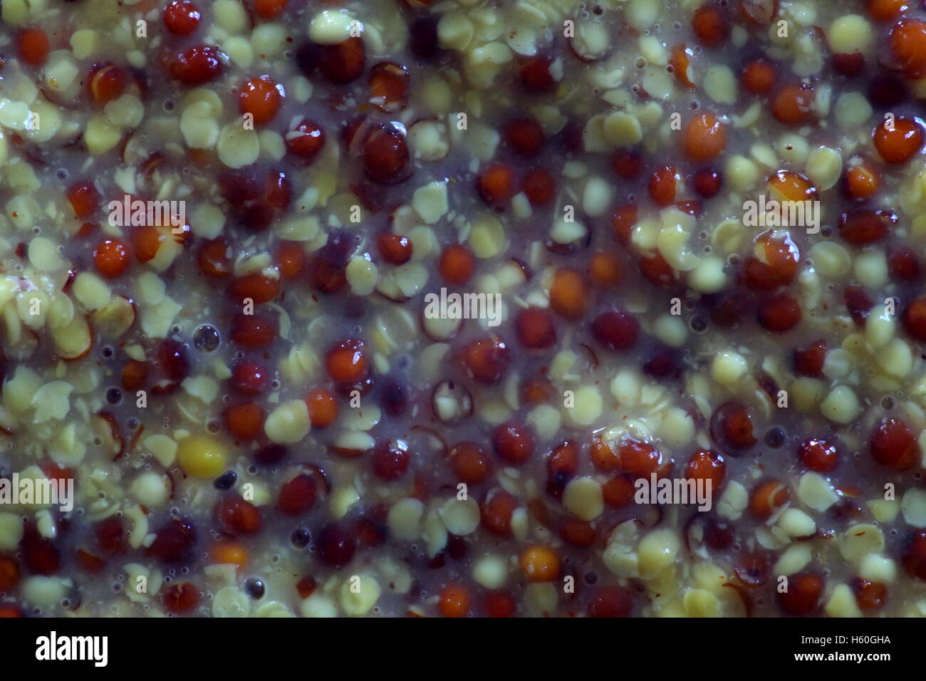 rotisseur mustard closeup Stock Photo - Alamy