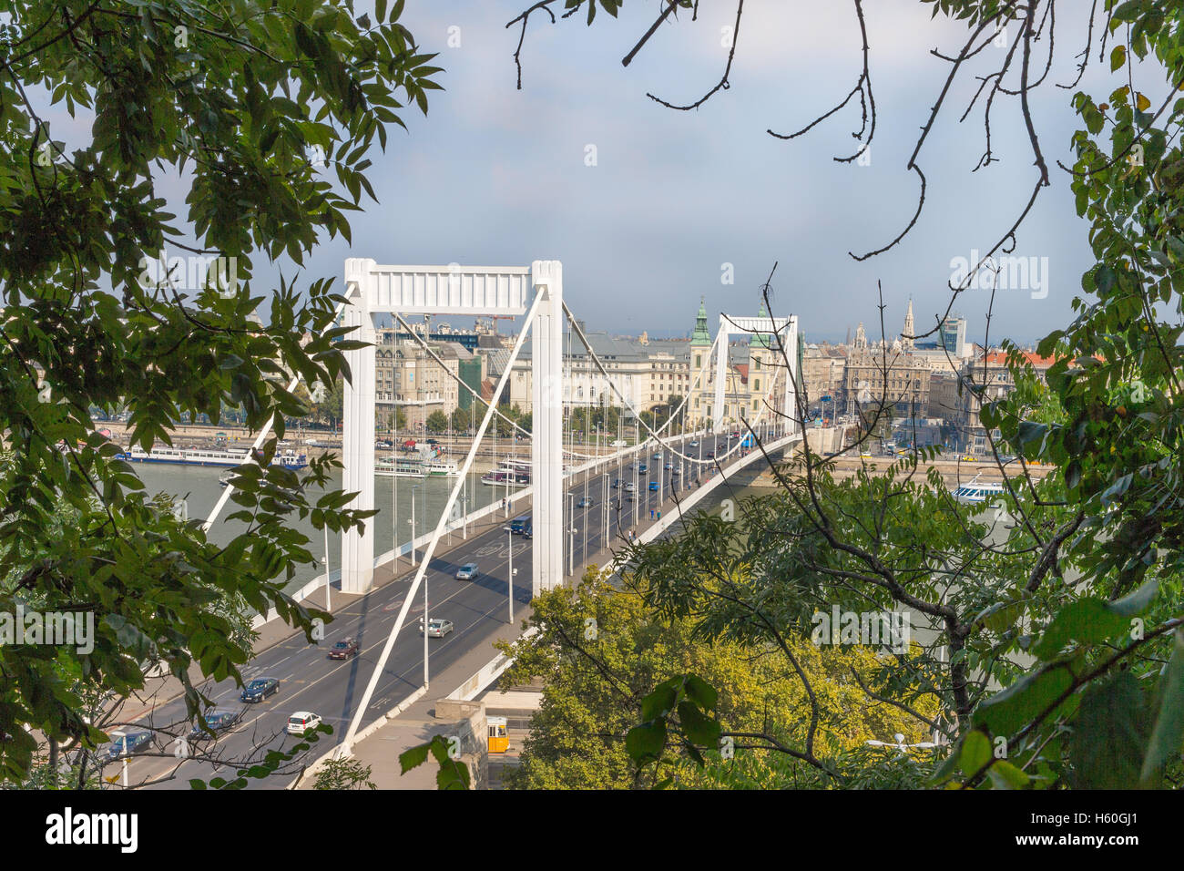 Elisabeth Bridge in Budapest, Hungary. Beautiful Budapest bridges. Best ...