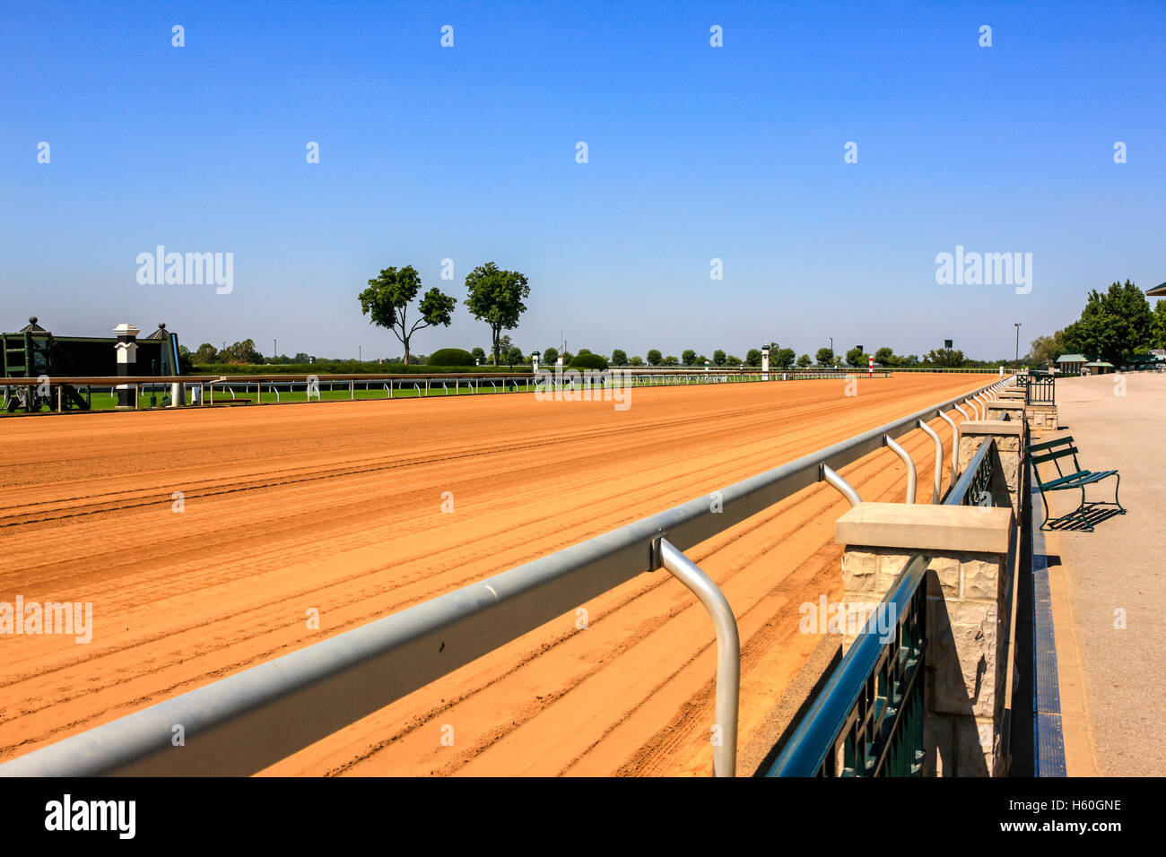 Lexington racehorse hi-res stock photography and images - Alamy