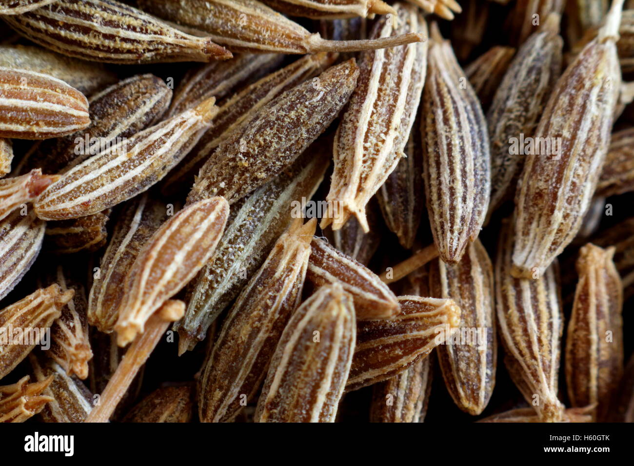 cumin seed closeup Stock Photo - Alamy