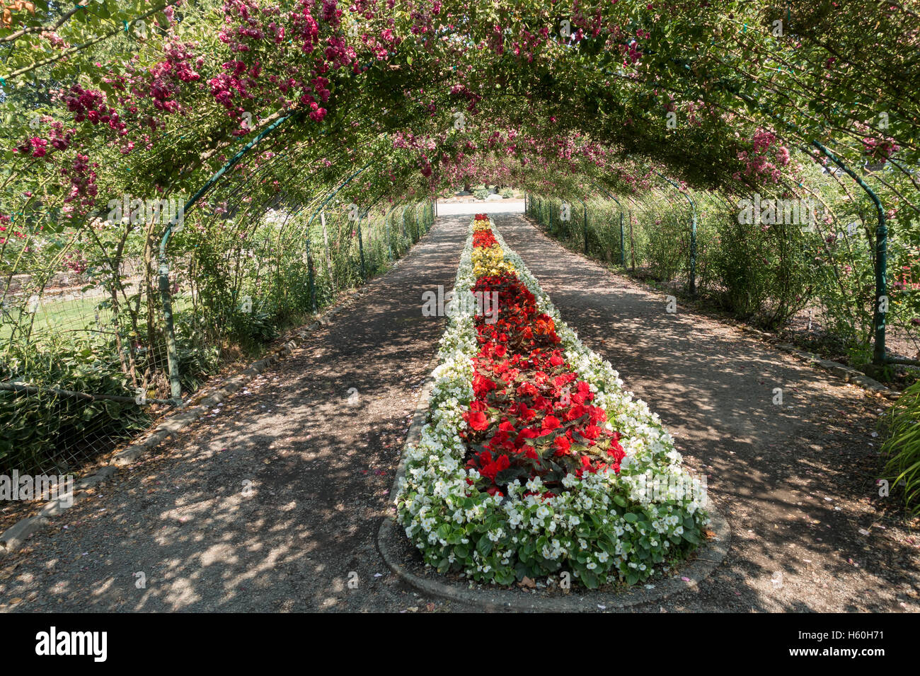 Point defiance park hi-res stock photography and images - Alamy