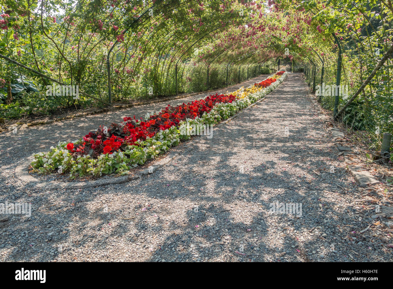 Point defiance park hi-res stock photography and images - Alamy